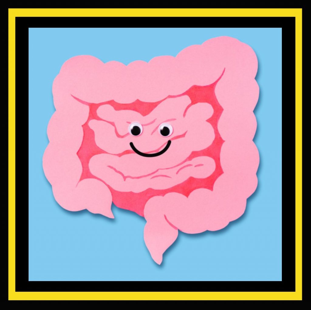 GUT BACTERIA - BEEWEIGHED Slimming Groups